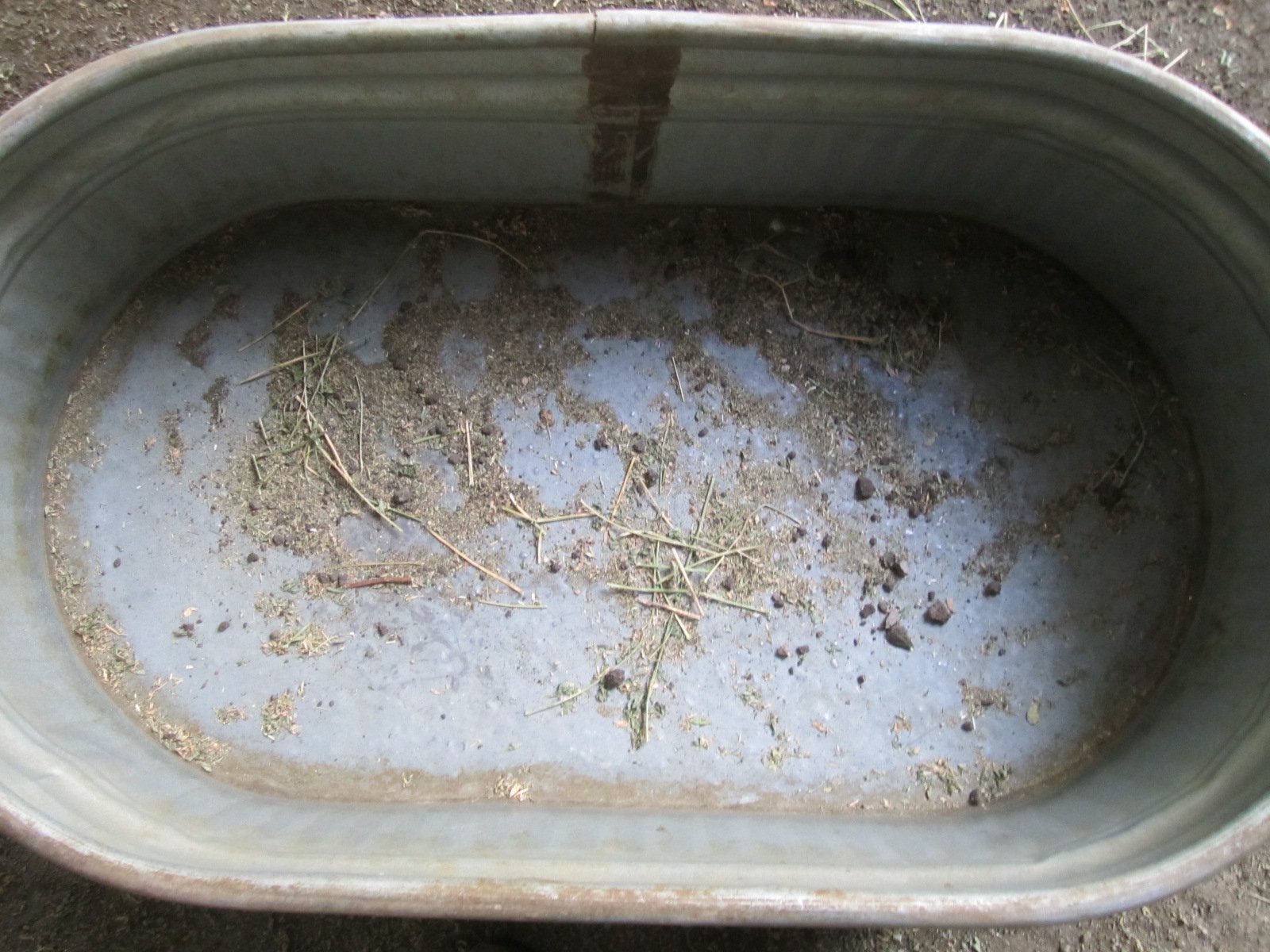 Signs That Your Hay Is Crap – Western Horse Watchers Association