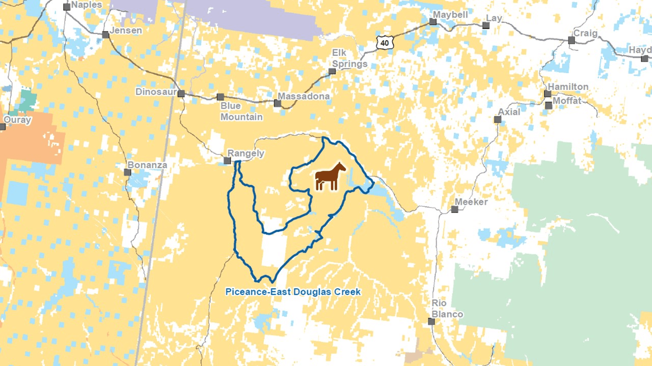 Piceance Wild Horses Get Short End of Stick – Western Horse Watchers ...