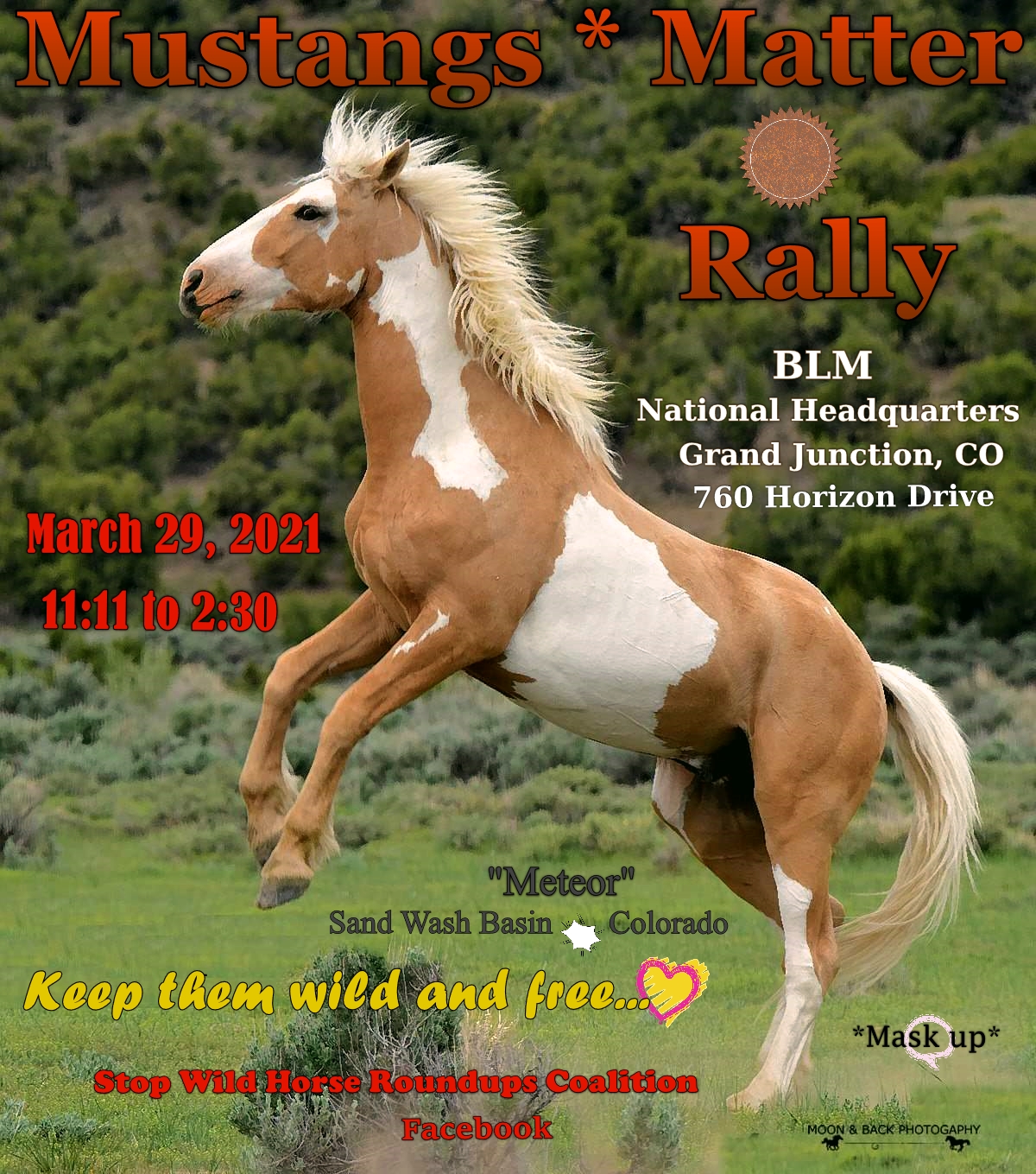 Wild Horse Rally Next Week – Western Horse Watchers Association