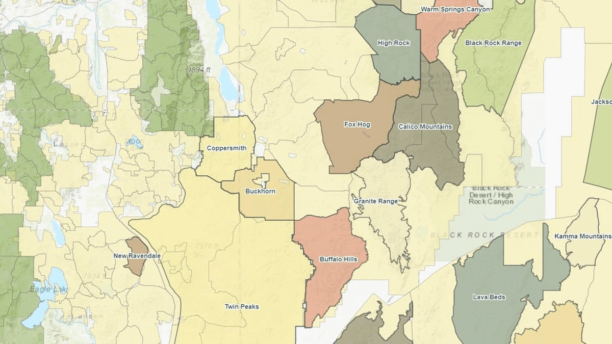 How Many Wild Horses Can the Buckhorn HMA Support? – Western Horse ...