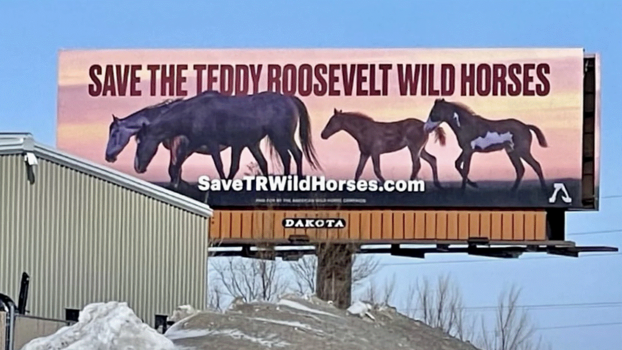 Who Paid for Billboard about TRNP Wild Horses? – Western Horse Watchers ...