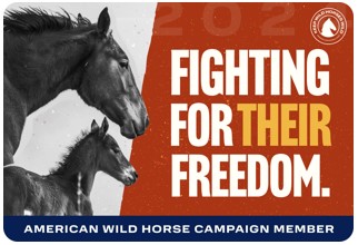 CAAWH Unveils New Membership Card – Western Horse Watchers Association